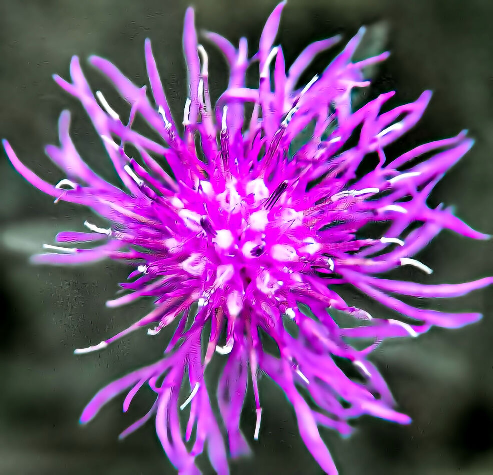 Pale Purple (For Lack of a Better Word): Never had enough crayons as a ...