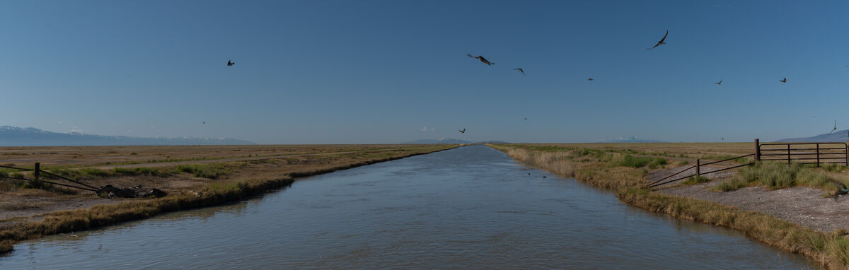 Bear River MBR landscapes: Driving to and from the Bear River Migratory ...