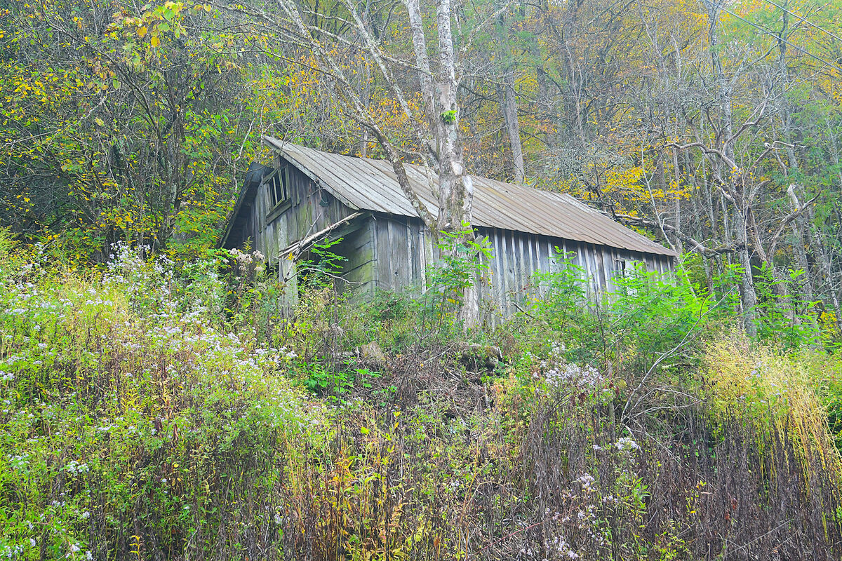 A truly mysterious abandoned barn: This is situated on a fairly steep ...